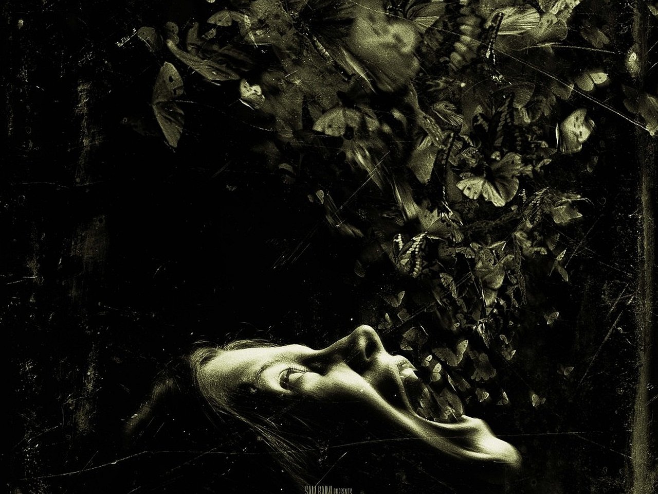 Download Movie The Possession Art