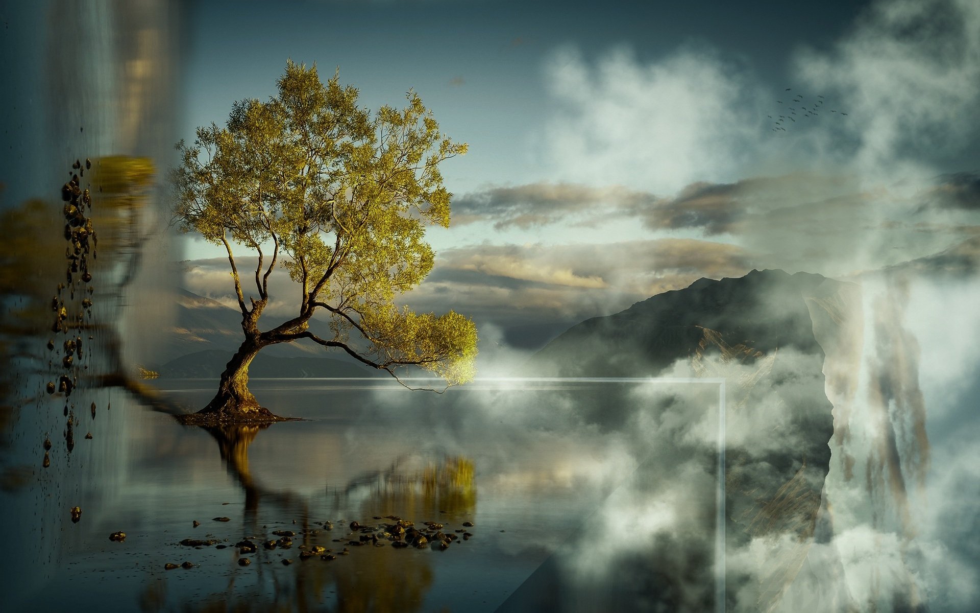 Download Tree Photography Manipulation Art