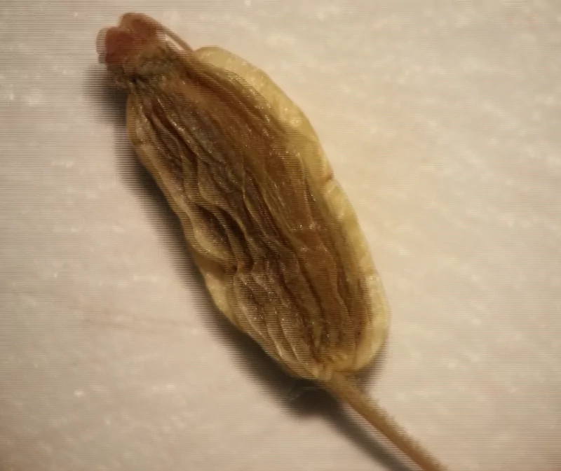 3D Interlaced: A Gallery By rocketman5004