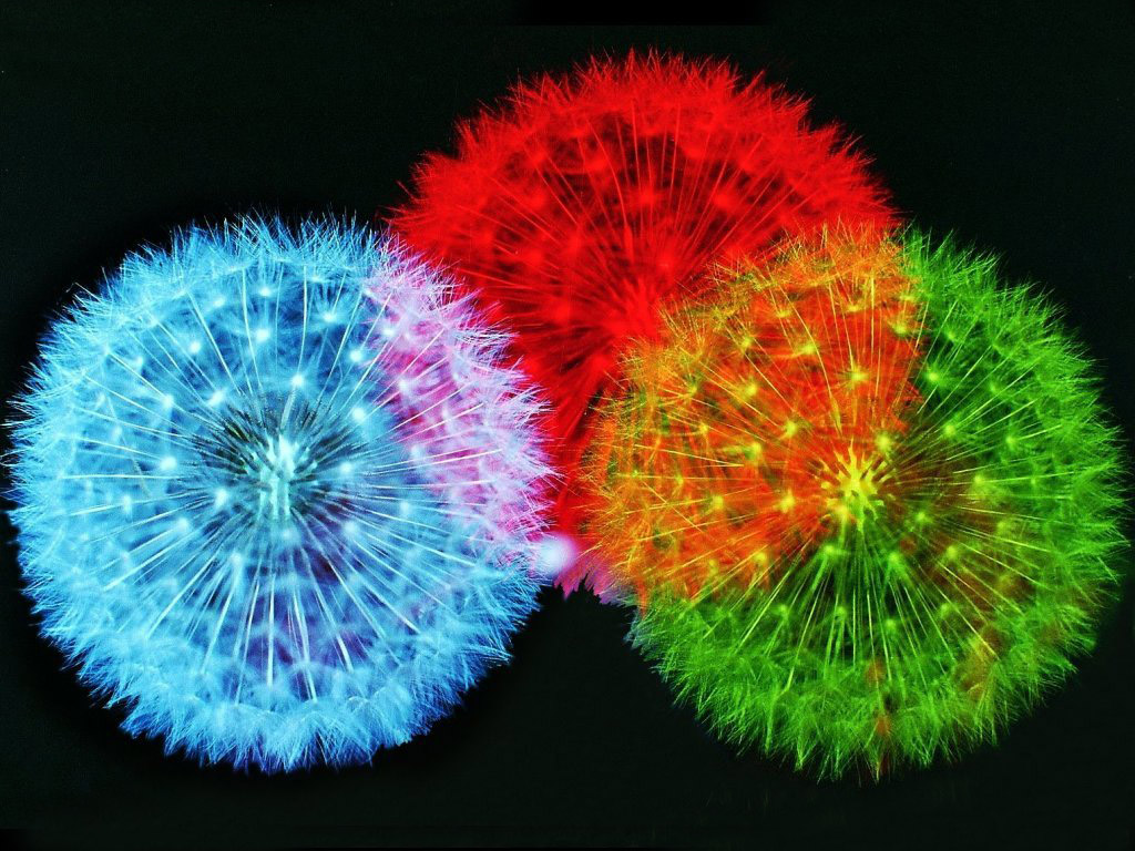 Download Artistic Fireworks Art