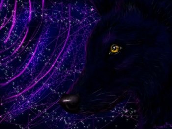 Original Art - A Gallery By: AprilMonster At Alpha Coders