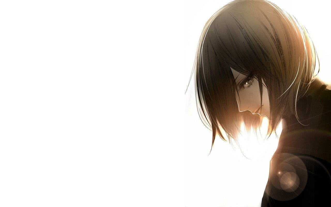 Download Mikasa Ackerman Anime Attack On Titan Art