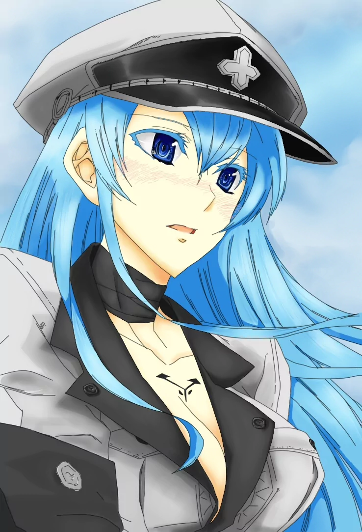 Esdeath (Akame Ga Kill!) - Desktop Wallpapers, Phone Wallpaper, PFP ...