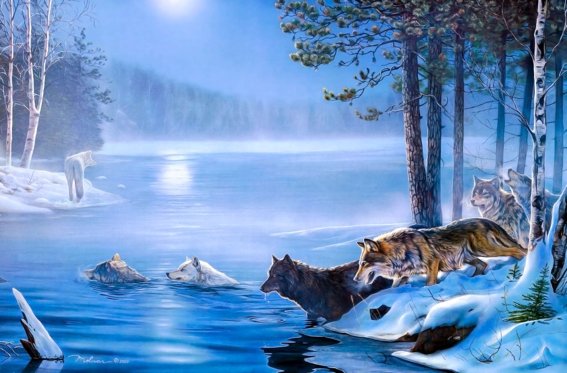 Winter Wolf Pack by the Frosty Lake