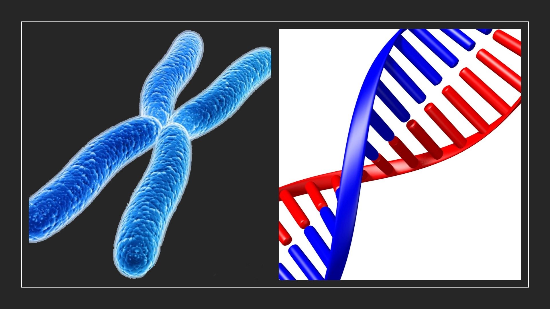 Genetics - Desktop Wallpapers, Phone Wallpaper, PFP, Gifs, and More!