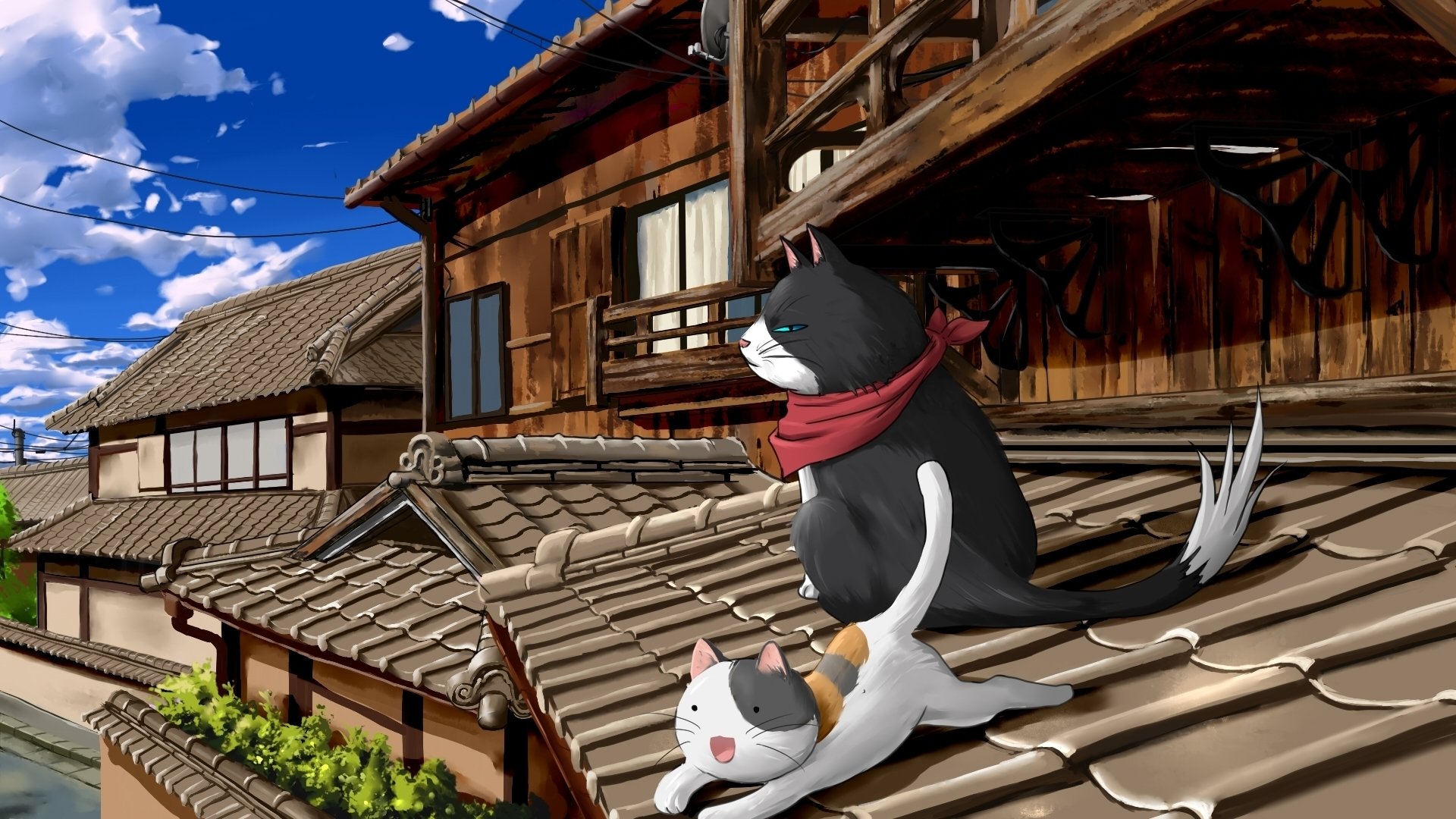 Charming Cat Duo Soars Over Nyan Koi! Village