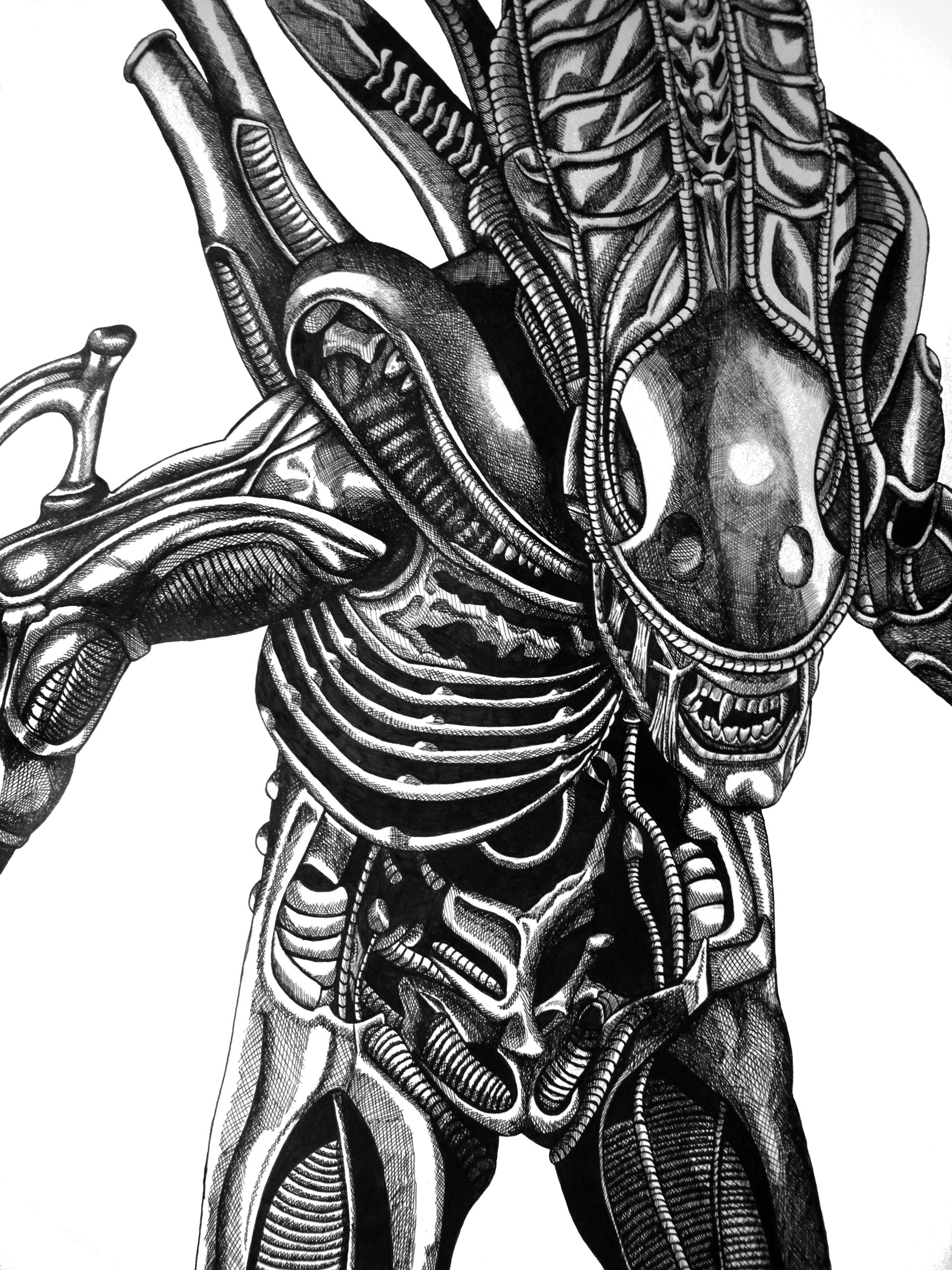 Download Sci Fi Alien Art by TGurr1971Arts