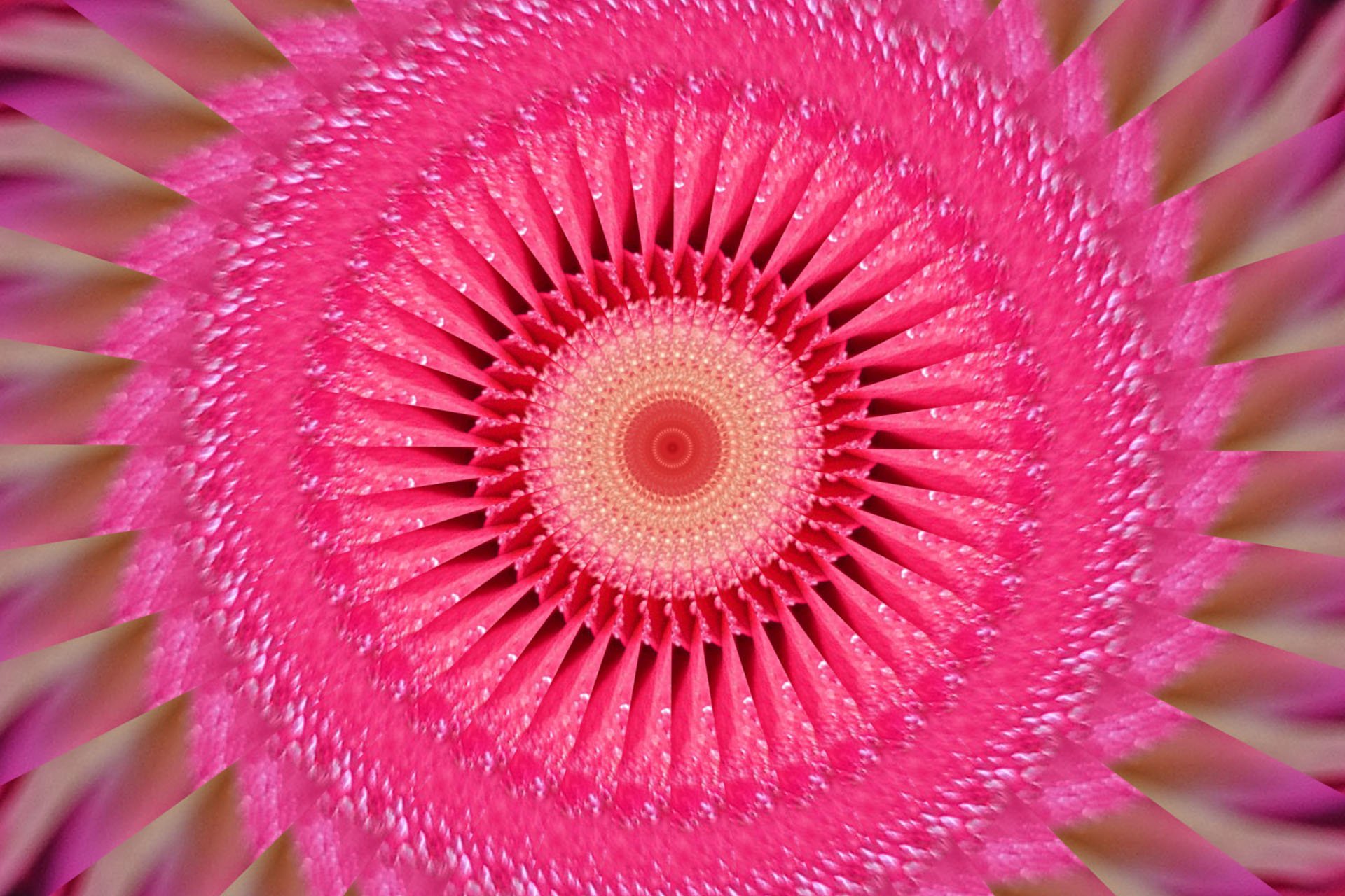 Download Pink Abstract Kaleidoscope Art by Susanlu4esm