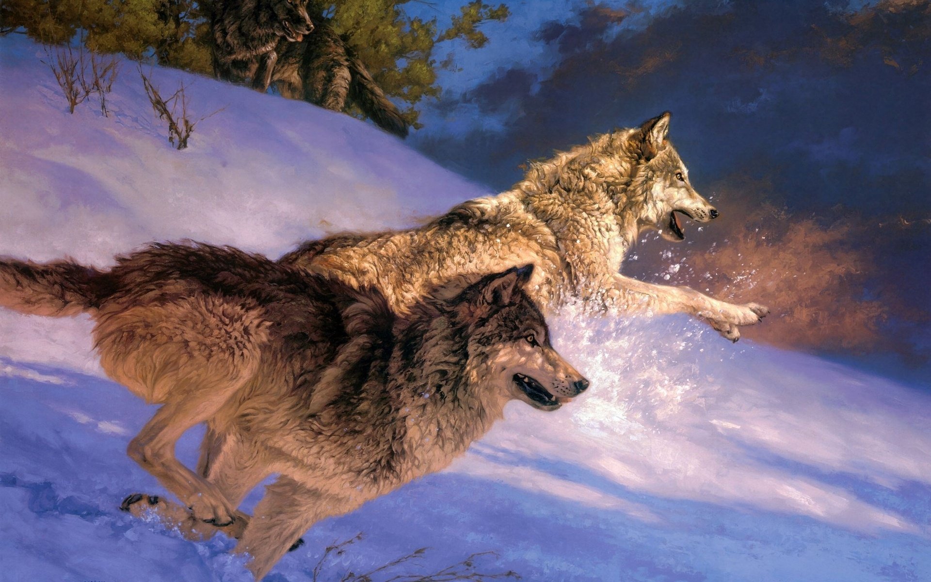 Download Animal Wolf Art