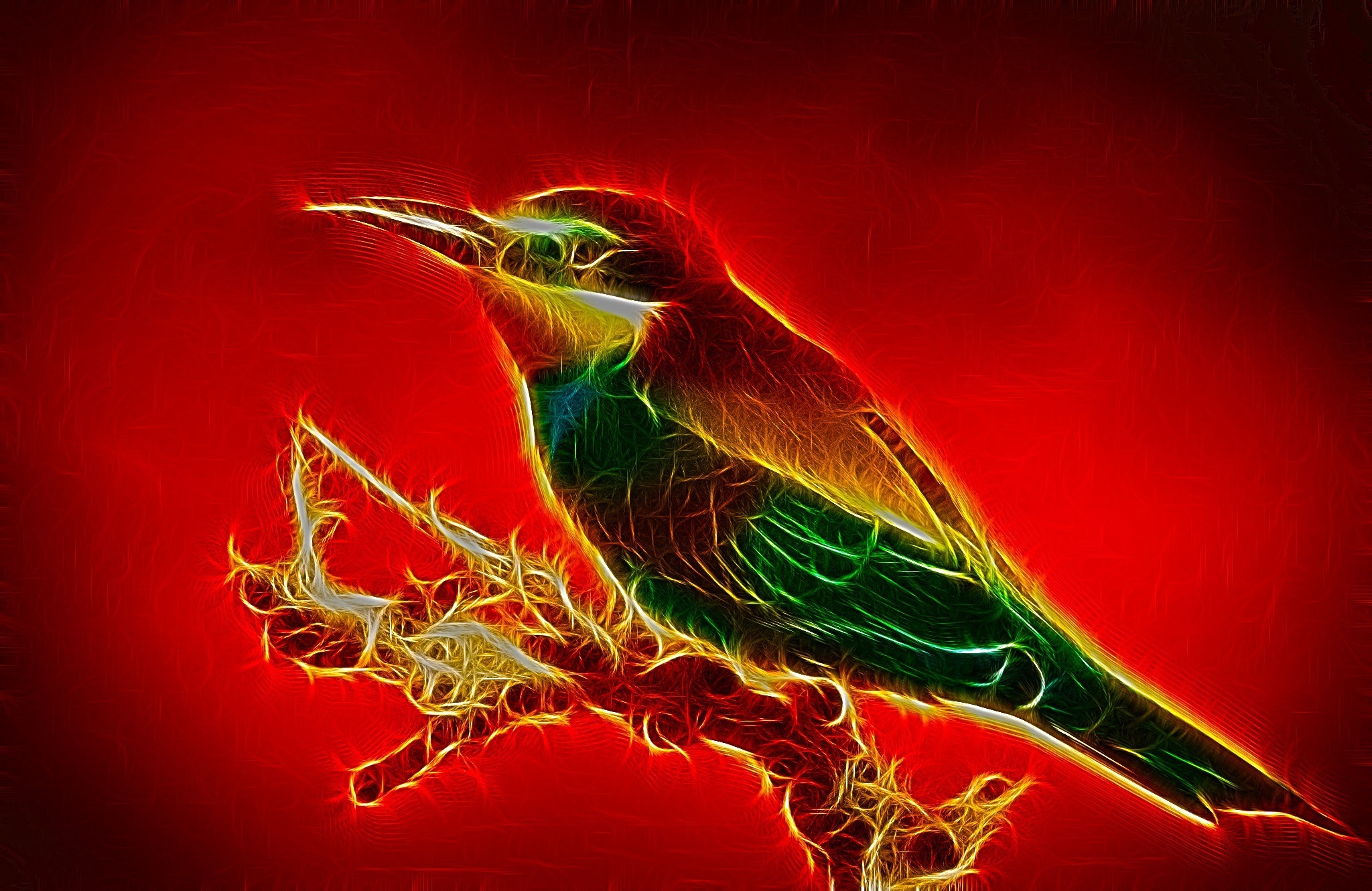 Download Bird Animal Artistic Art by ALGAZALY