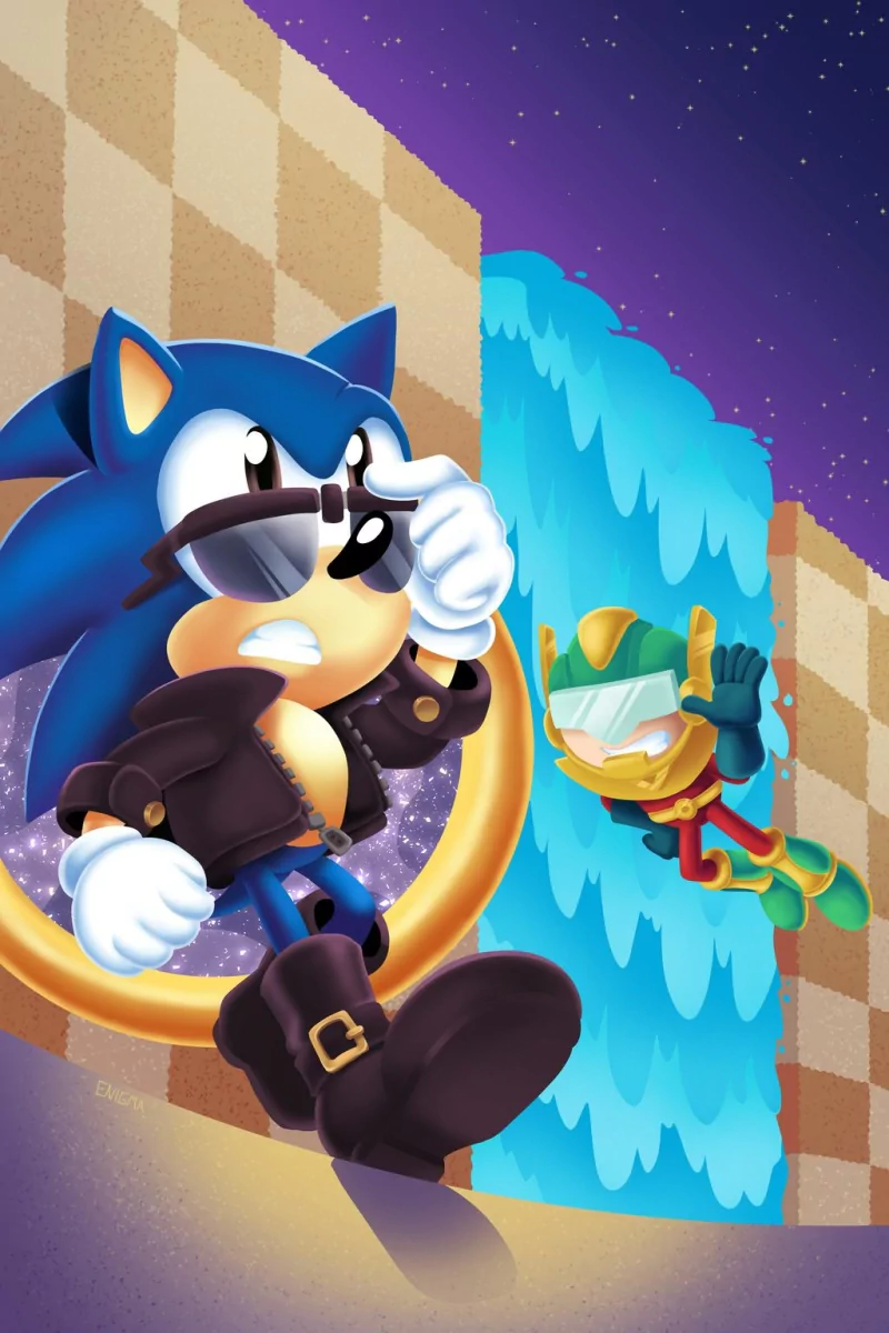 Zonic The Zone Cop - Desktop Wallpapers, Phone Wallpaper, PFP, Gifs ...