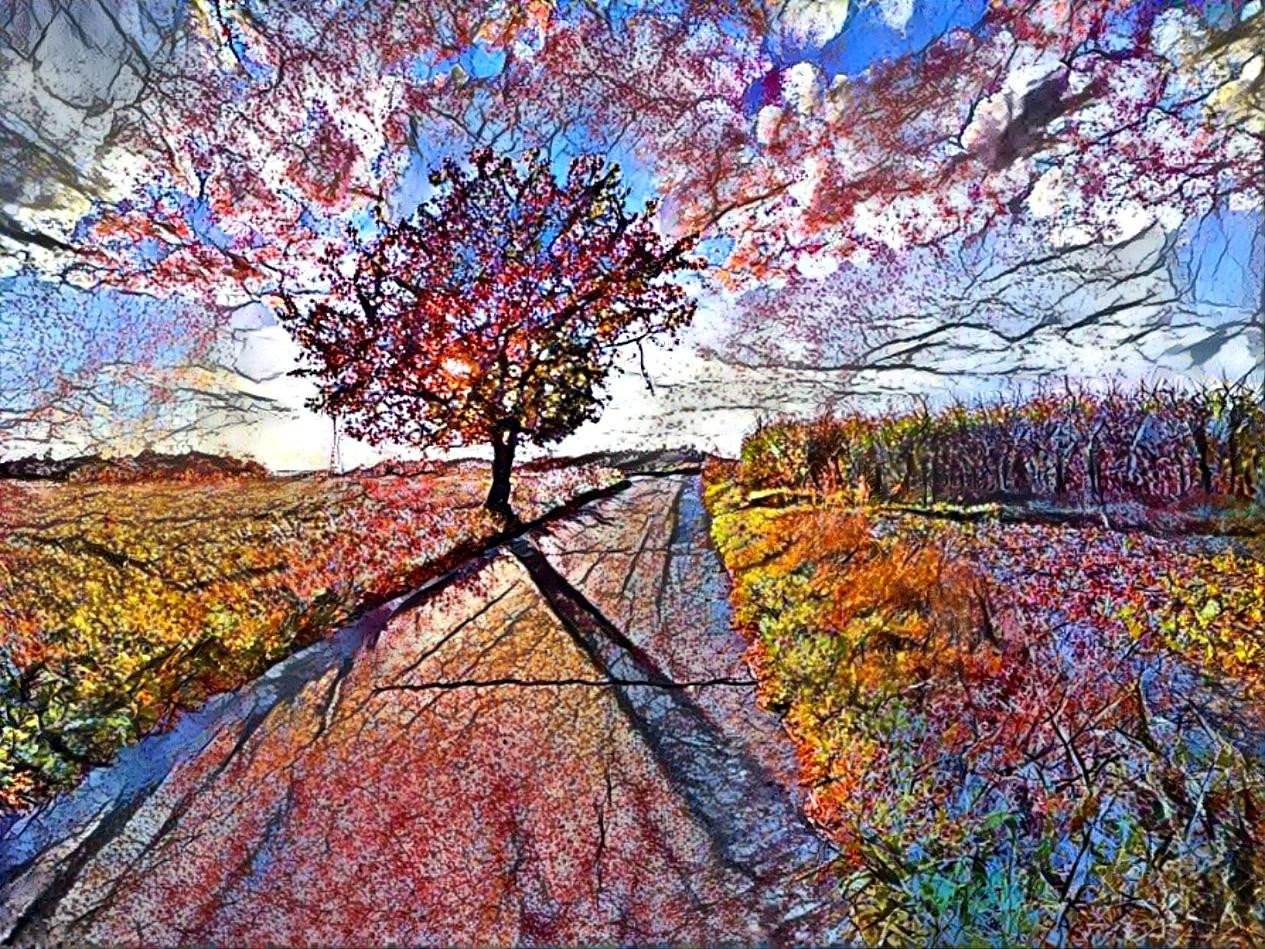 Landscape with colorful effects by NatureWorshiper