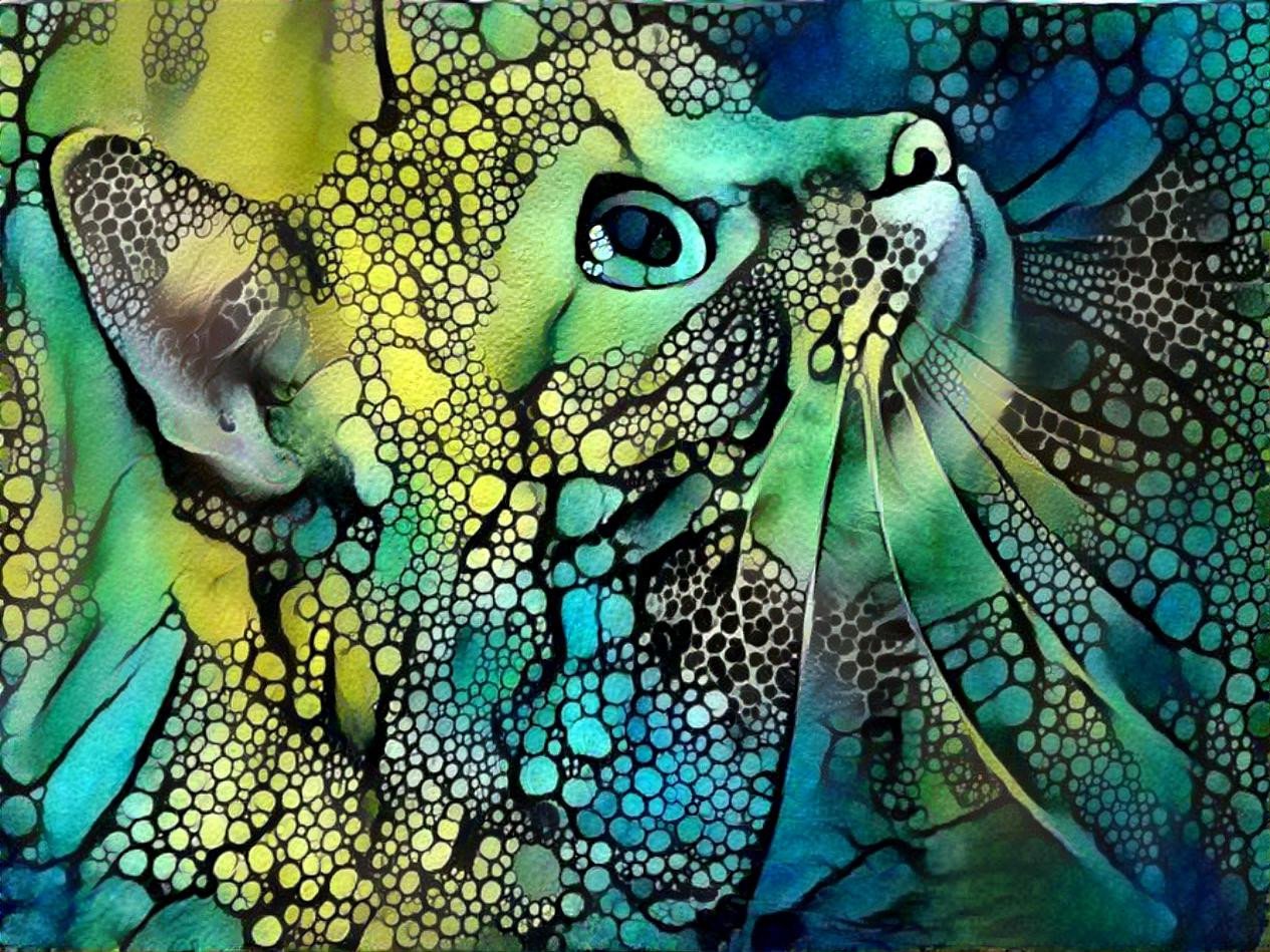 Green blue cat effects by NatureWorshiper