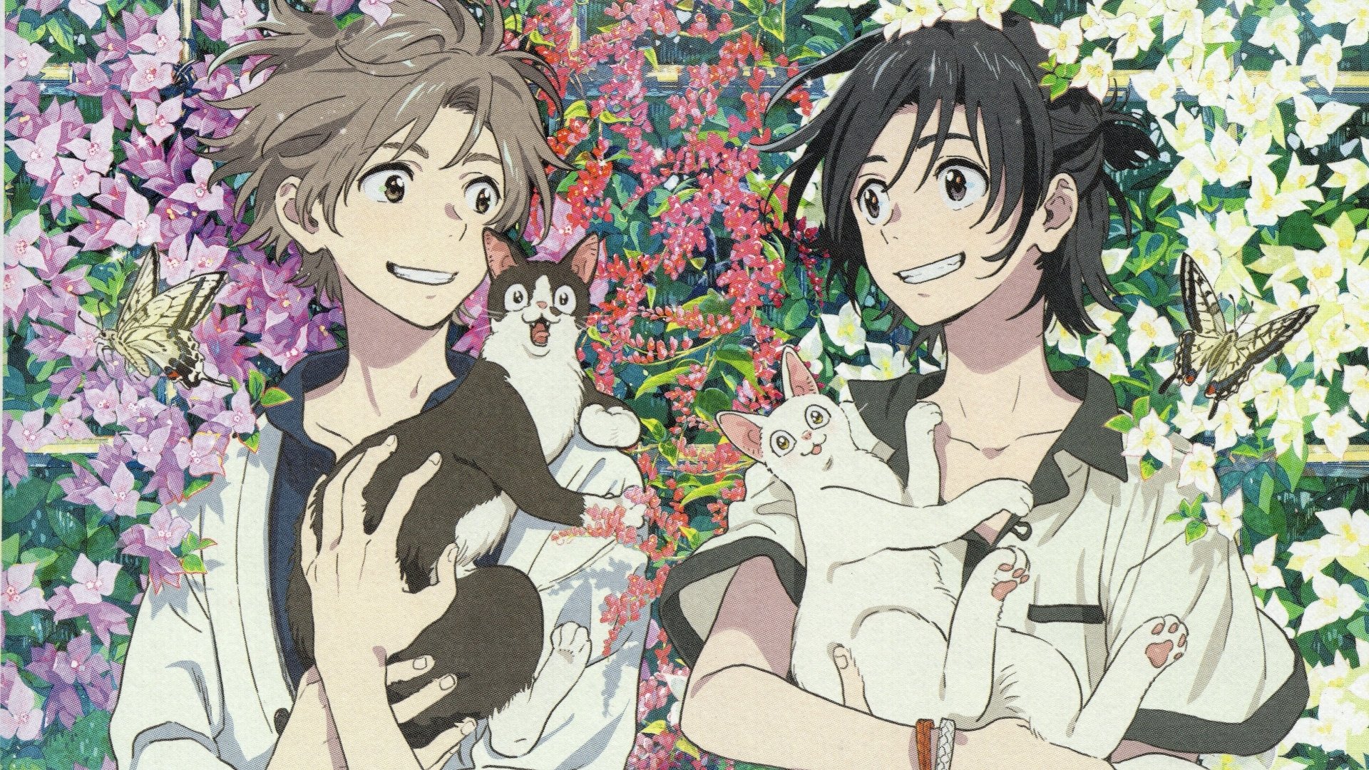 Mio Chibana - Desktop Wallpapers, Phone Wallpaper, PFP, Gifs, and More!