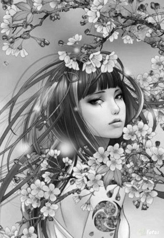 Geisha - Desktop Wallpapers, Phone Wallpaper, PFP, Gifs, and More!