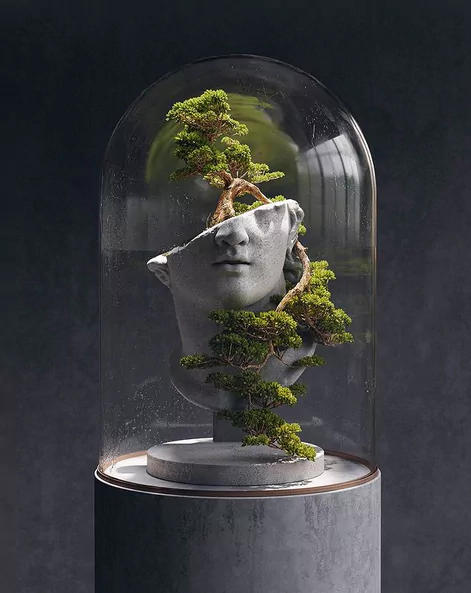 Bonsai - Desktop Wallpapers, Phone Wallpaper, PFP, Gifs, and More!