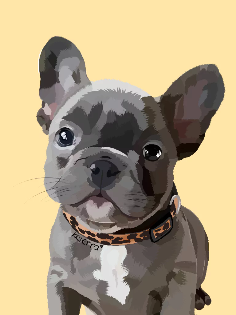 French Bulldog - Desktop Wallpapers, Phone Wallpaper, PFP, Gifs, and More!