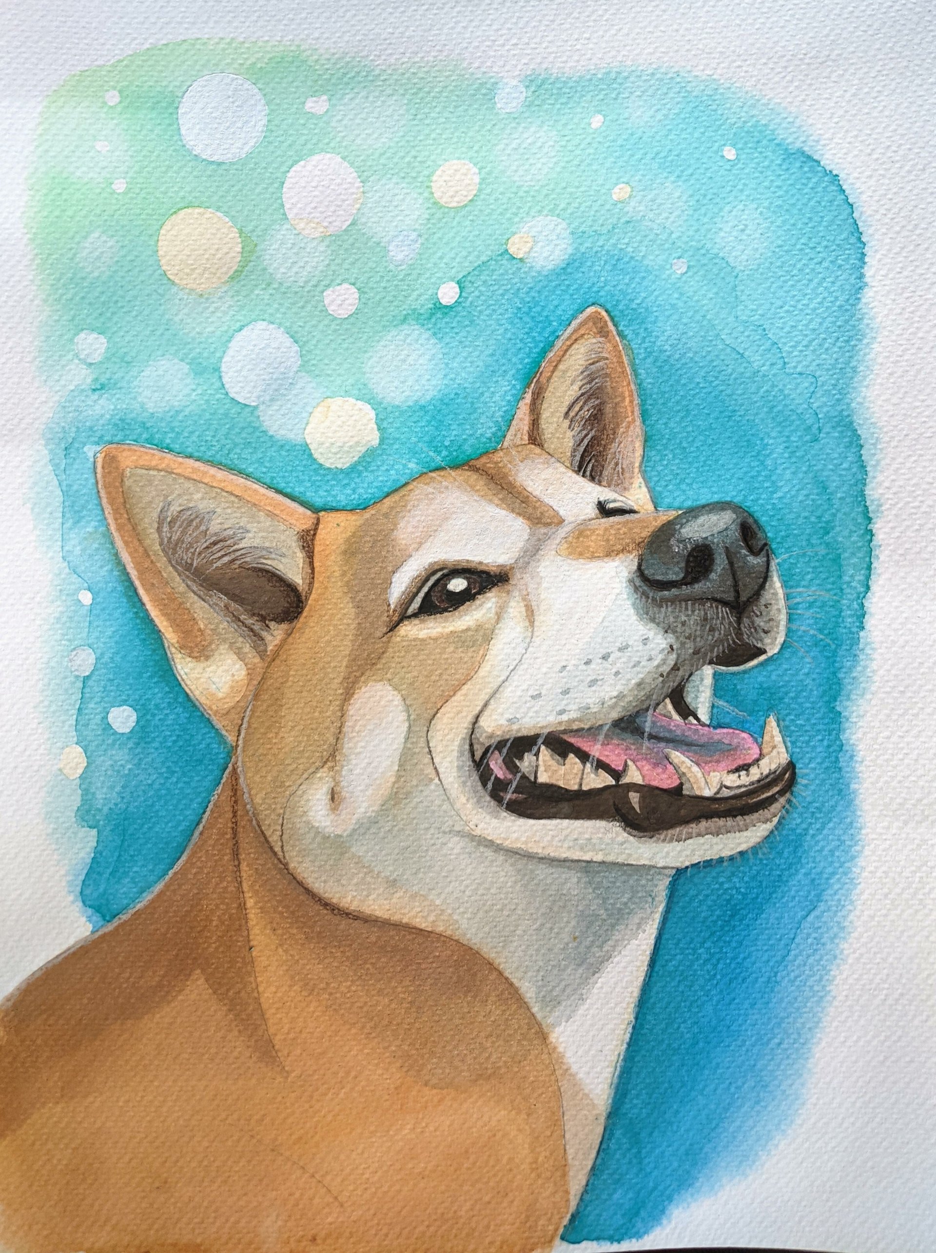 Download Animal Shiba Inu Art