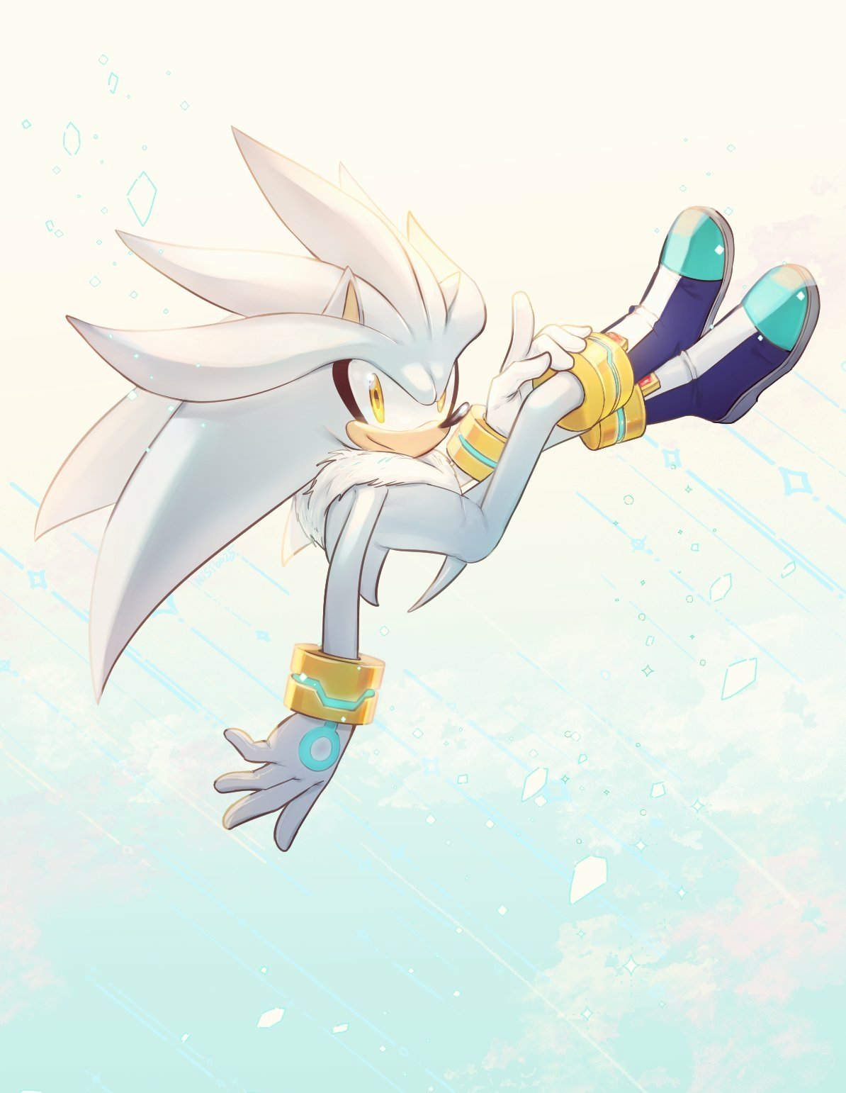 Download Silver The Hedgehog Video Game Sonic The Hedgehog Art