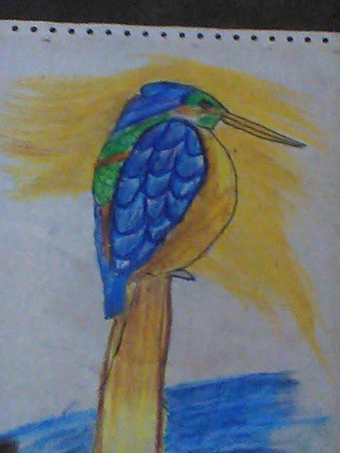 KITU DRAWING by sb74021