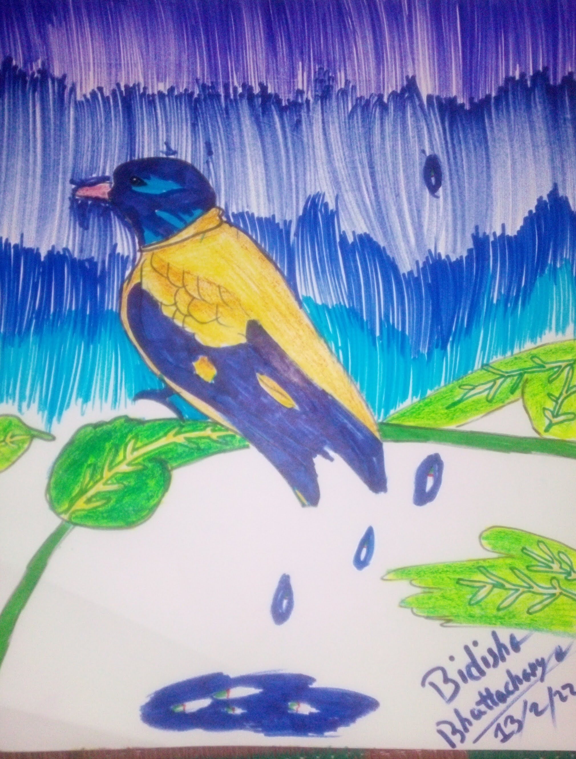 KITU DRAWING by sb74021