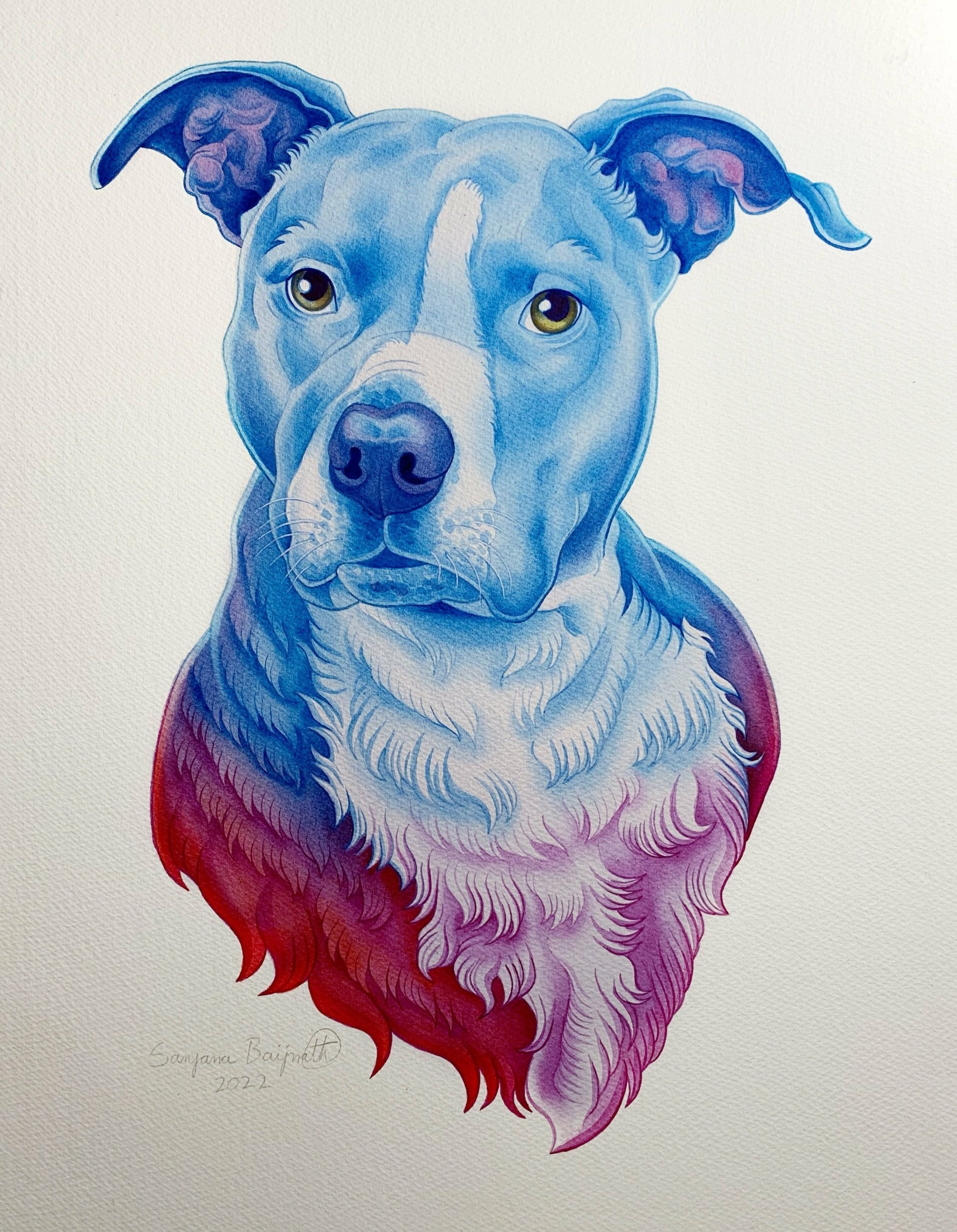 Download Animal Dog Art