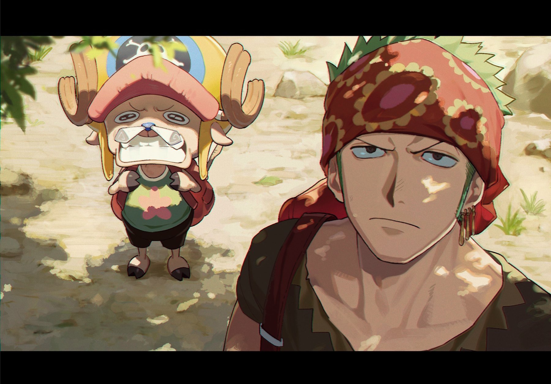 Zoro and Chopper: Unlikely Allies on Adventure