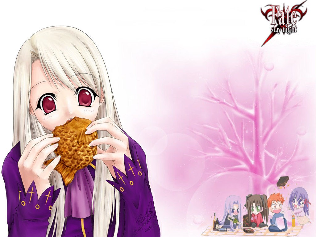 Fate/Stay Night Art