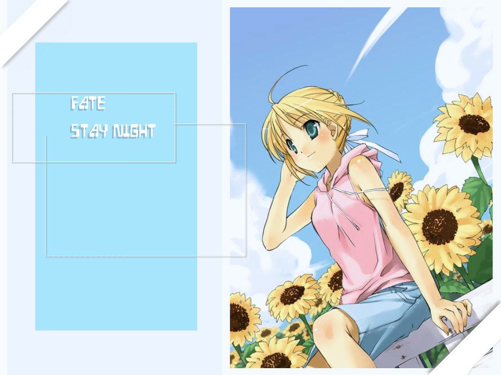 Fate/Stay Night Art