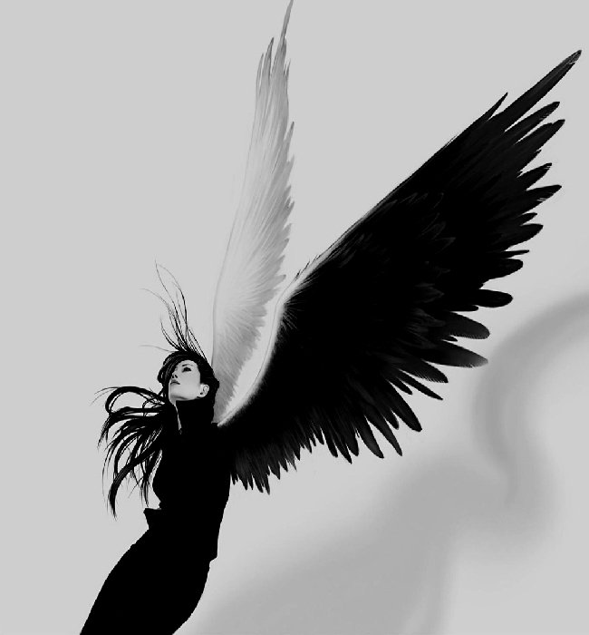 Elegance of Shadows: A Fantasy Winged Woman