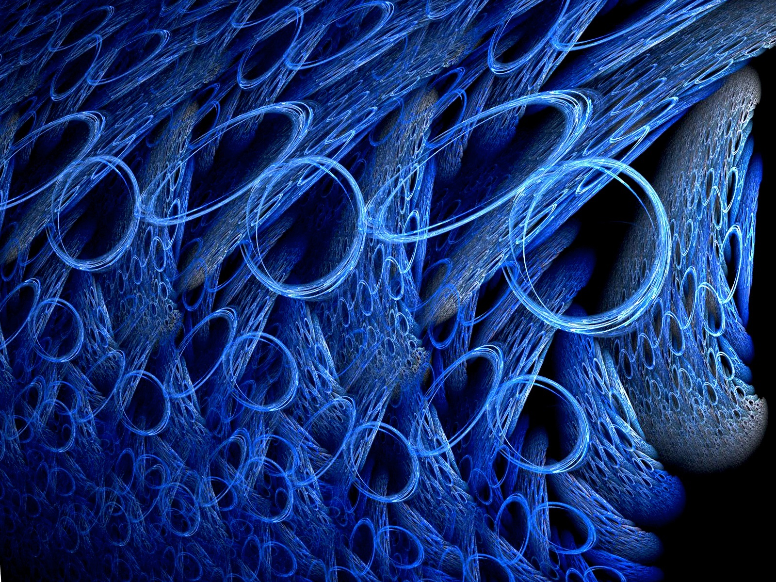 Fluid Dimensions: A Digital Art Journey