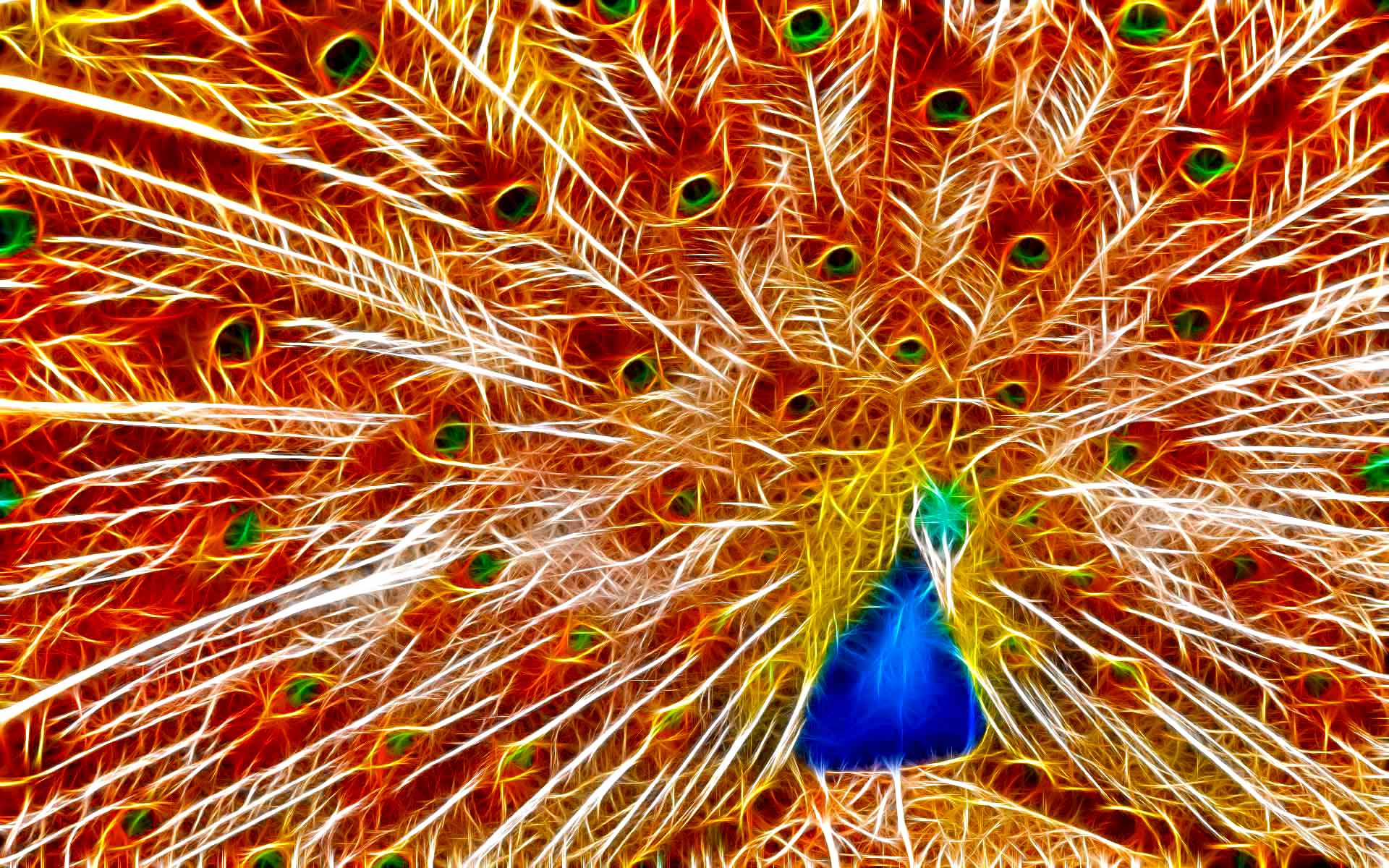 Fractal Peacock