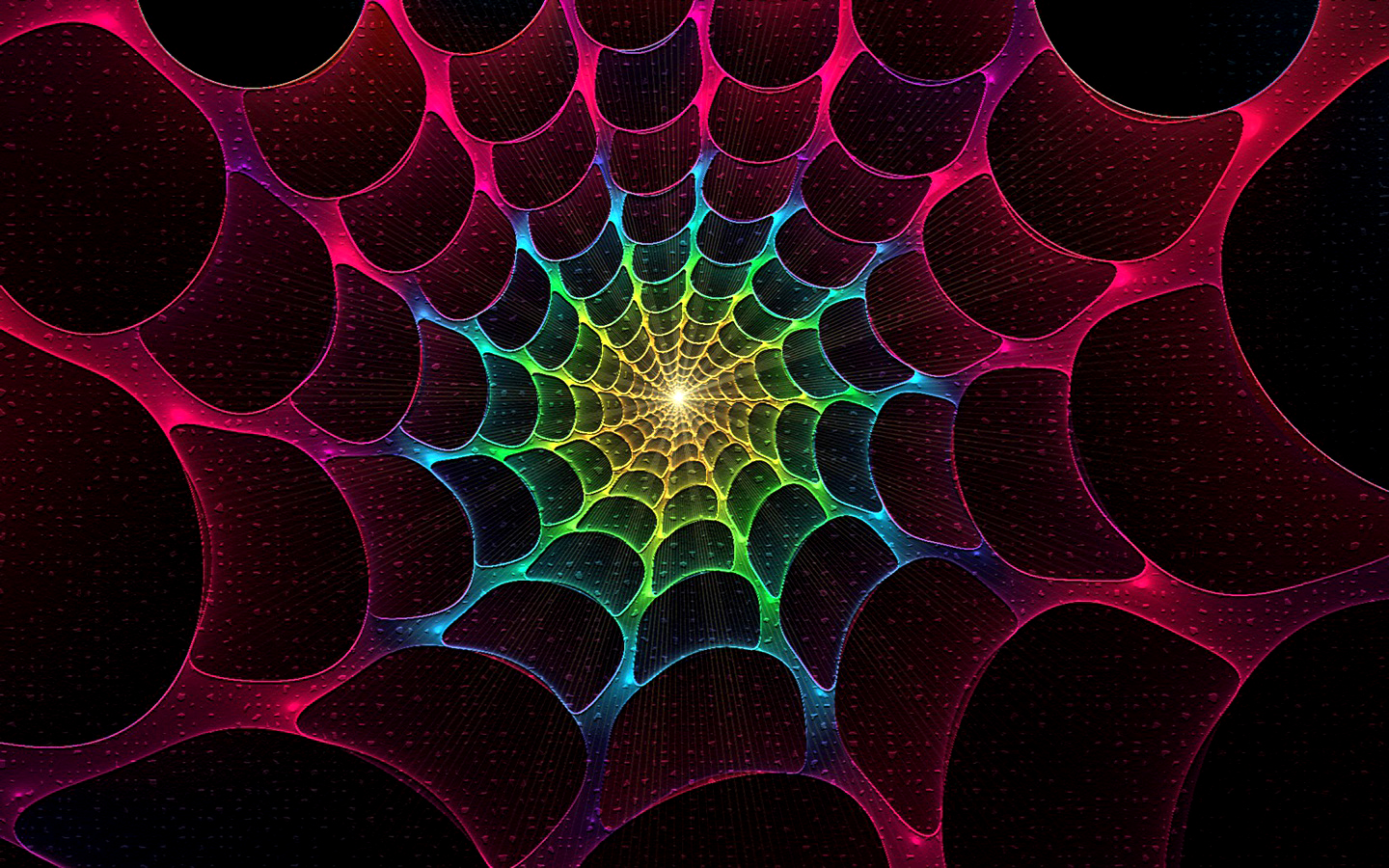 Vibrant Web: A Journey Through Digital Art