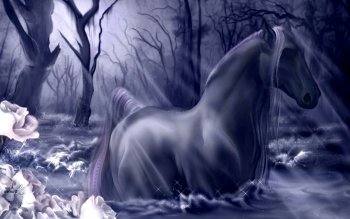 Horses - A Gallery By: cancarve4u2 At Alpha Coders