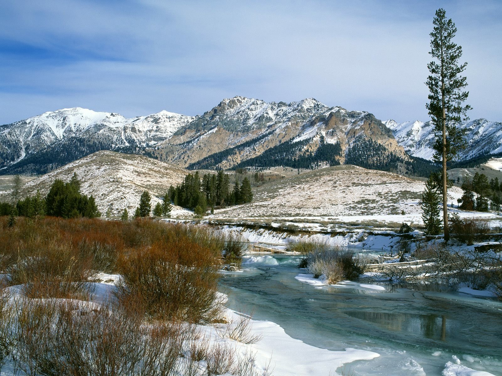 Winter Serenity: A Nature's Embrace