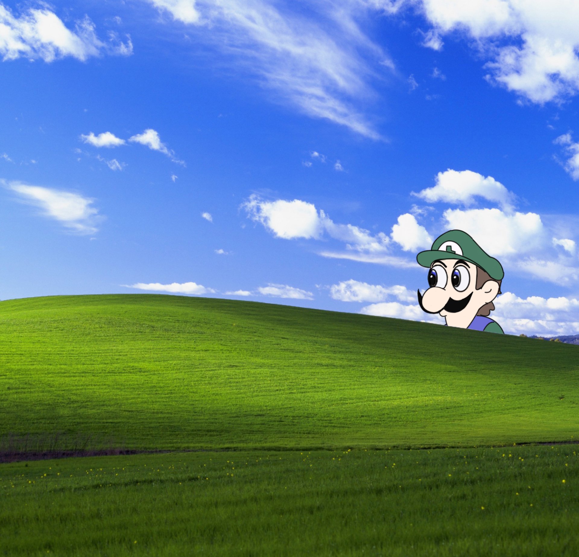 Weegee - Desktop Wallpapers, Phone Wallpaper, PFP, Gifs, and More!