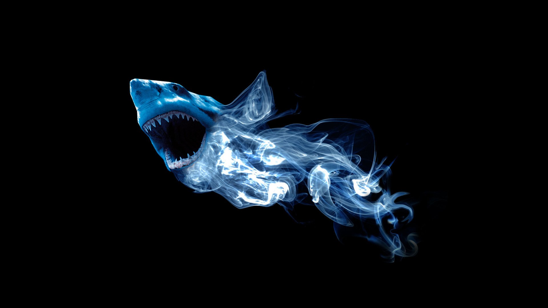 Abstract Depths: The Artistic Spirit of the Phantom Shark