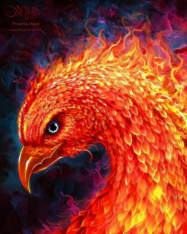 The Fiery Majesty of the Fantasy Phoenix