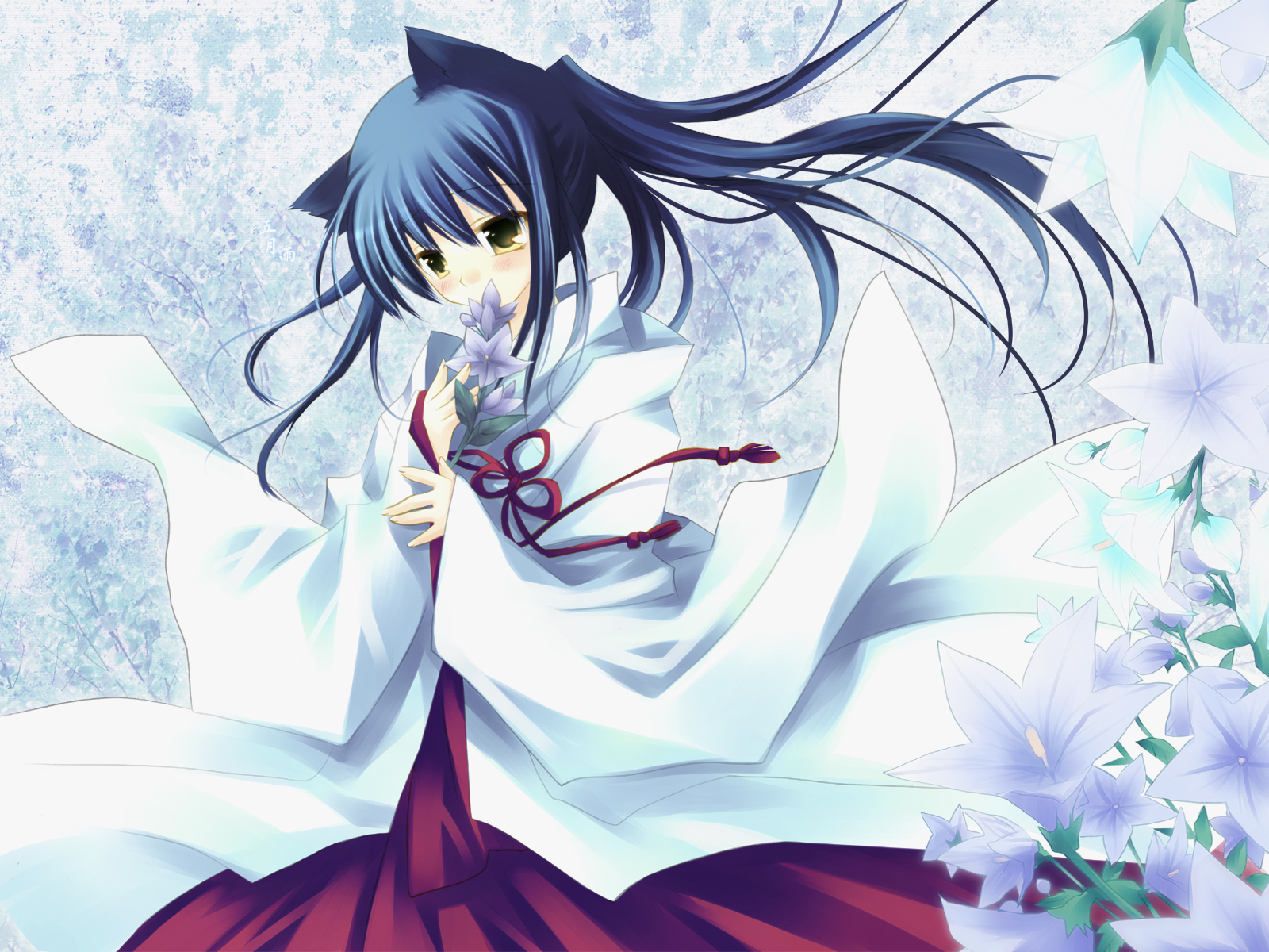 Download Anime Woman Art