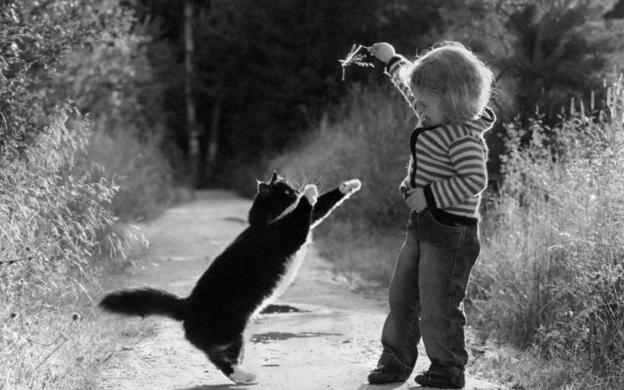 Whimsical Moment: Child’s Artistic Dance with a Playful Cat