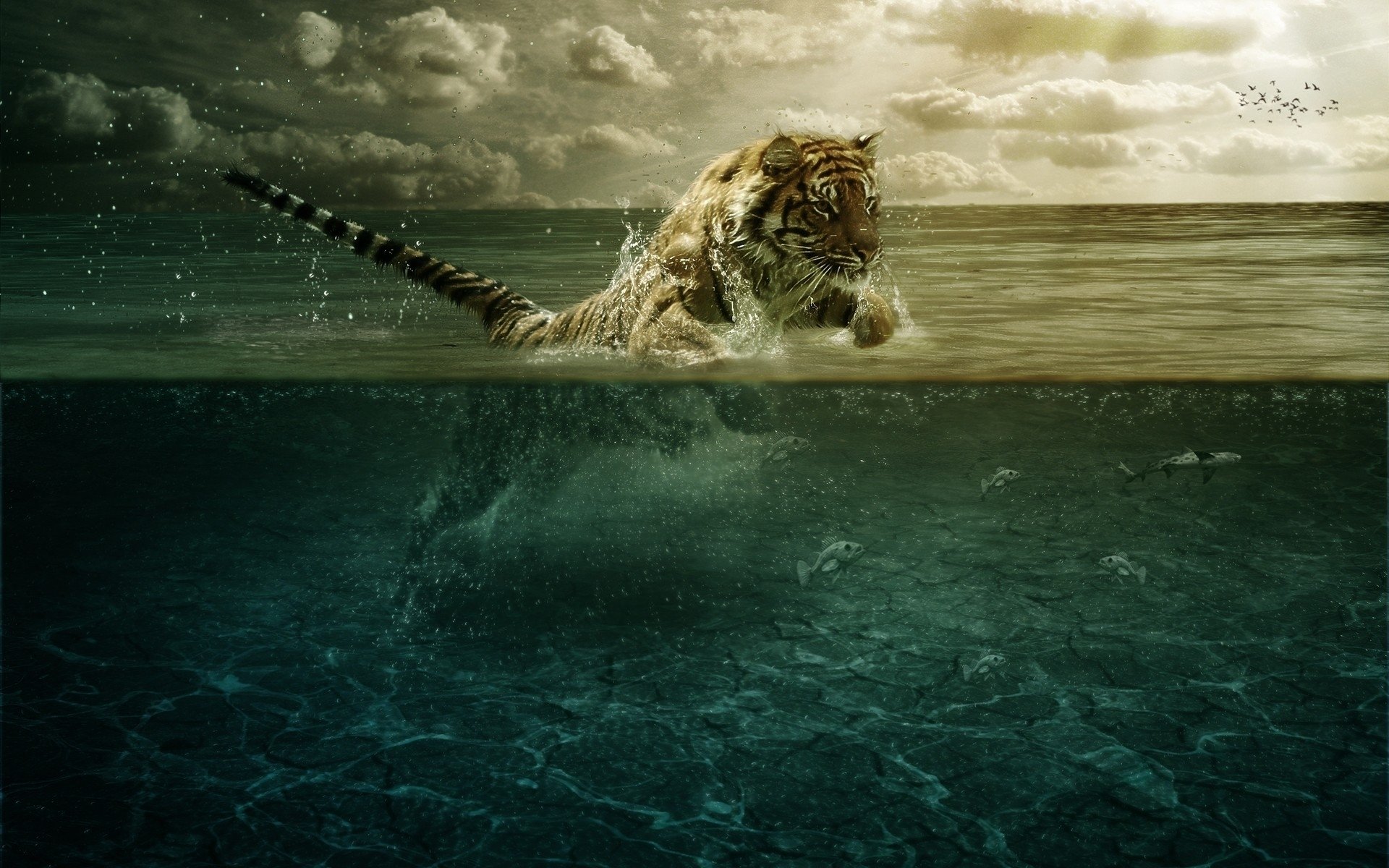 Majestic Tiger: A Swim Through Nature's Waters