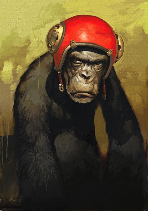Chimp - Desktop Wallpapers, Phone Wallpaper, PFP, Gifs, and More!