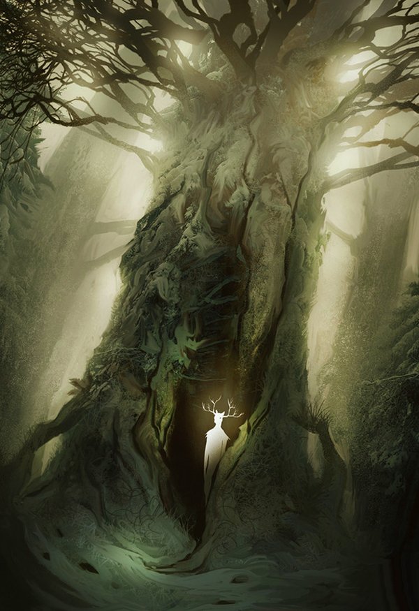 Whispers of the Enchanted Forest