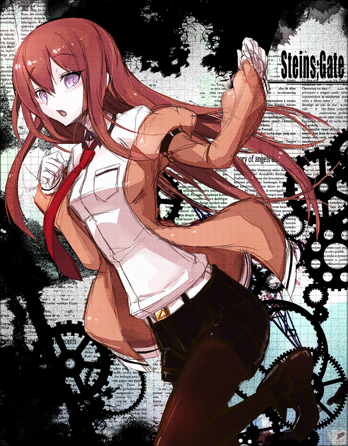 Steins;Gate Anime: The Time-Defying Journey
