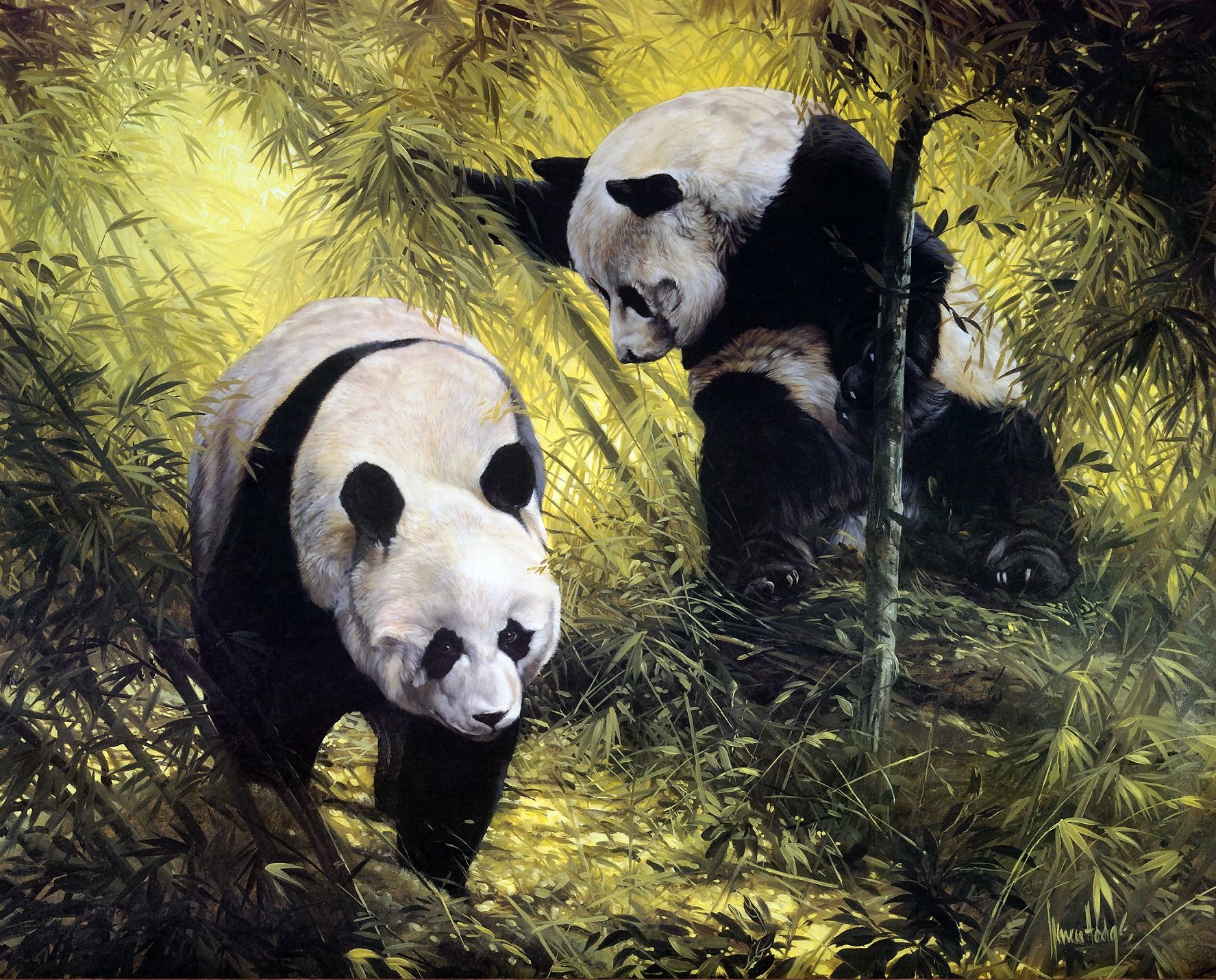 Download Animal Panda Art