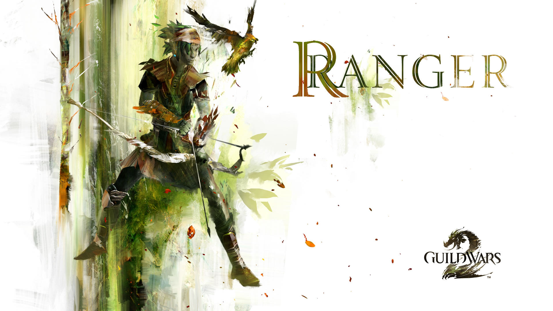 Download Video Game Guild Wars 2 Art
