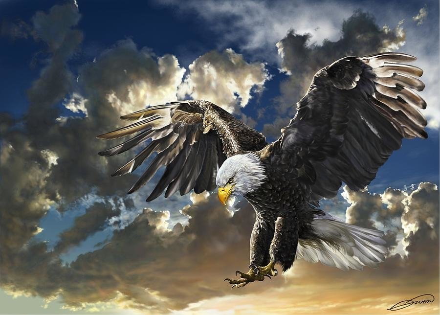 Majestic Eagle Soaring Through a Dramatic Sky