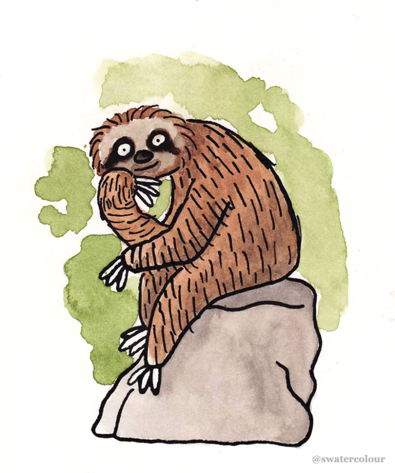 Sloth - Desktop Wallpapers, Phone Wallpaper, PFP, Gifs, and More!