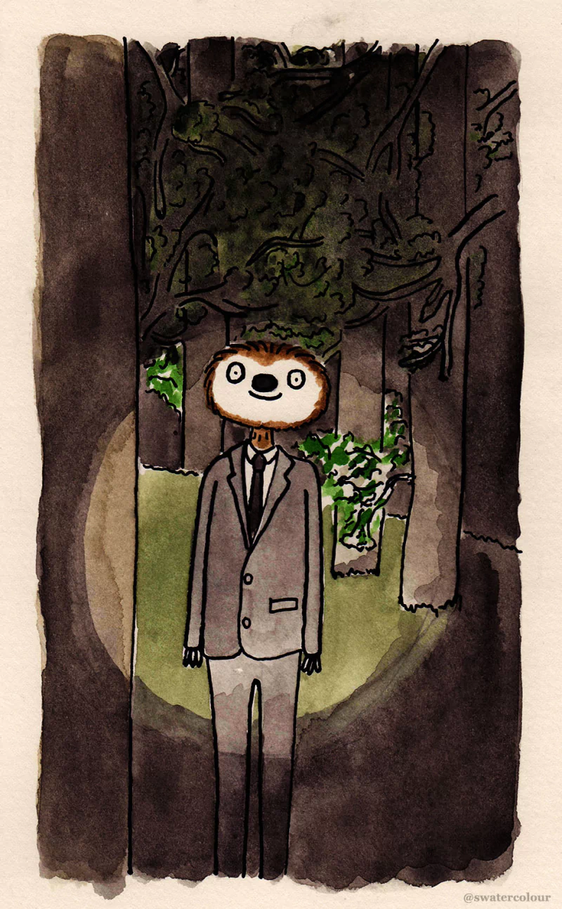 Sloth - Desktop Wallpapers, Phone Wallpaper, PFP, Gifs, and More!