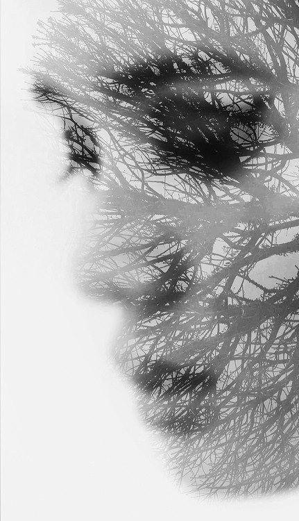 Download Dark Face Art